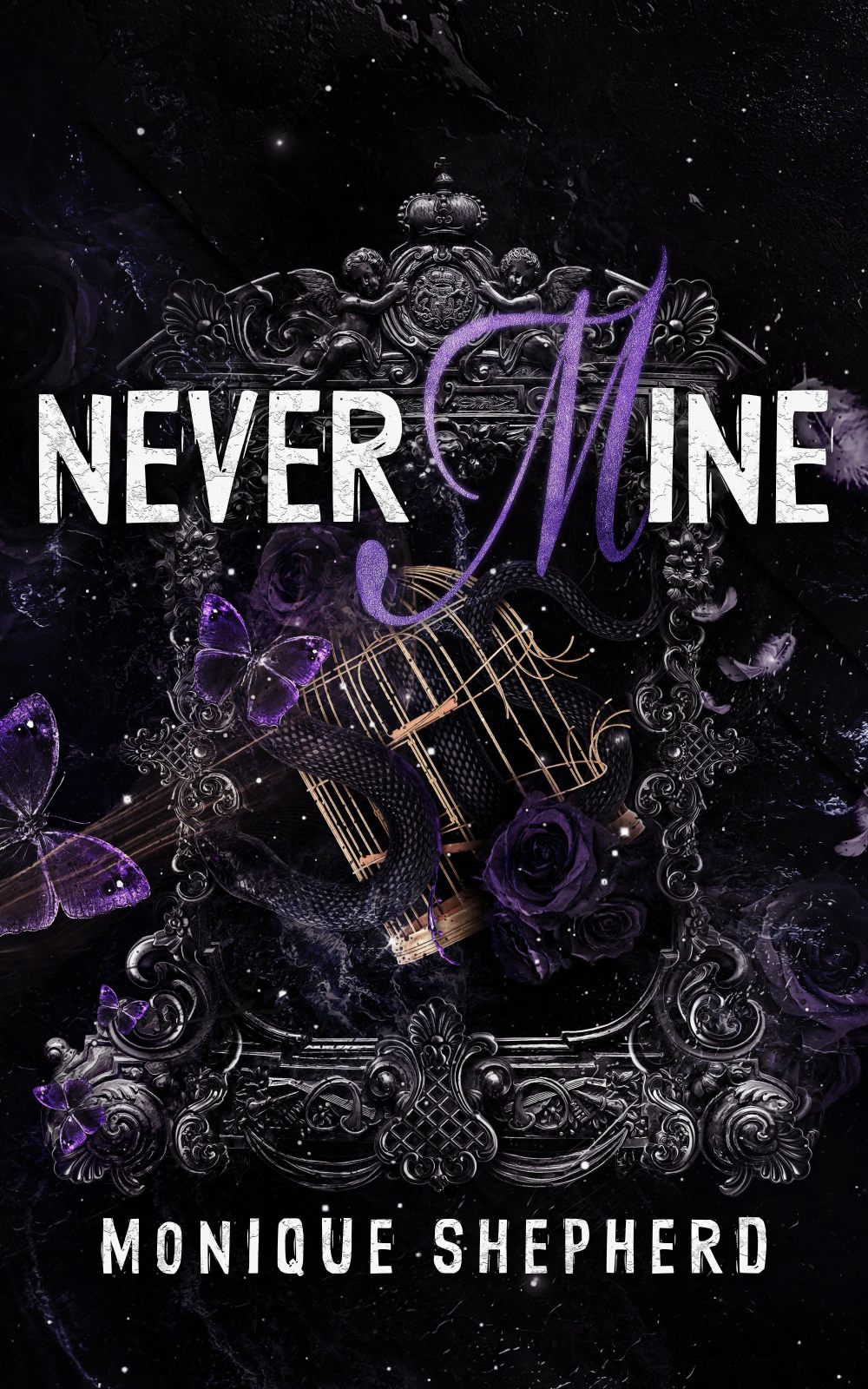 Book Tour: Never Mine by Monique Shepherd (Never Never Duet) Dark Romance – R&R Book Tours