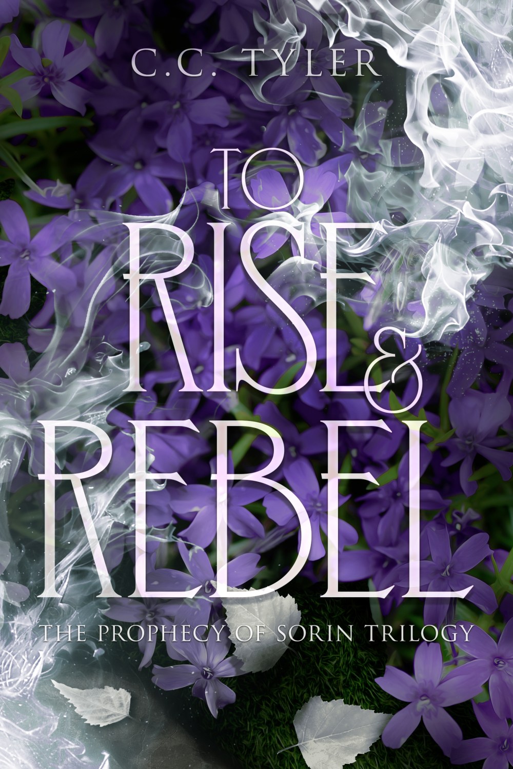 Completed Trilogy: Rise & Rebel by C.C. Tyler (The Prophecy of Sorin #3 ...